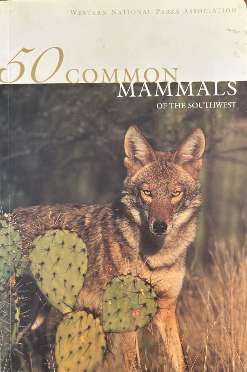 50 Common Mammals of the Southwest