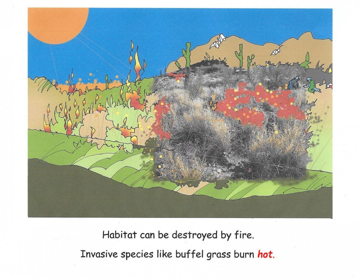 pop-folder-hazard-fire